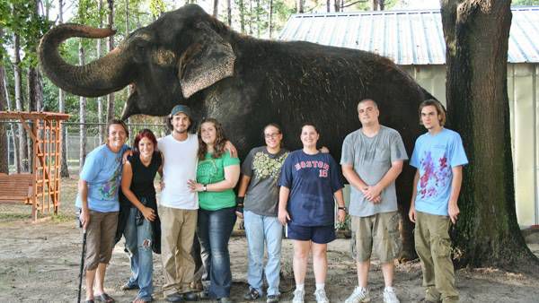Learn about elephants at Two Tails Ranch in Levy County