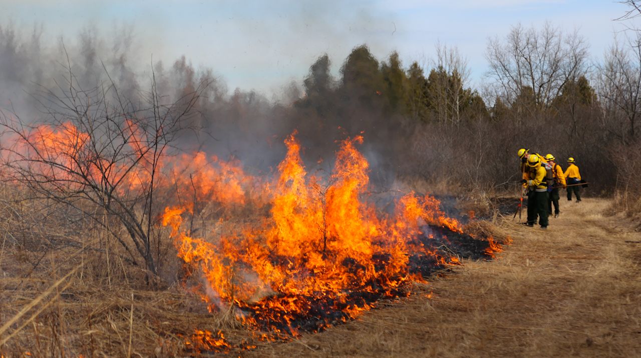 Saving lives: Wisconsin trains wildland firefighters
