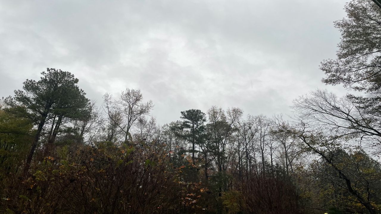 We briefly catch a break in the harsh cold