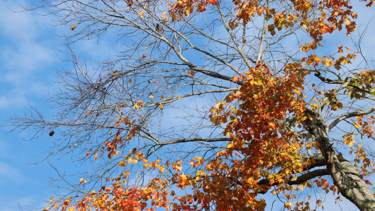 Why fall tourism is anything but basic in upstate N.Y.