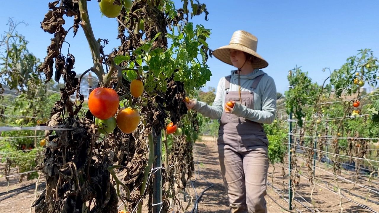 Farm Lab helps students and environment