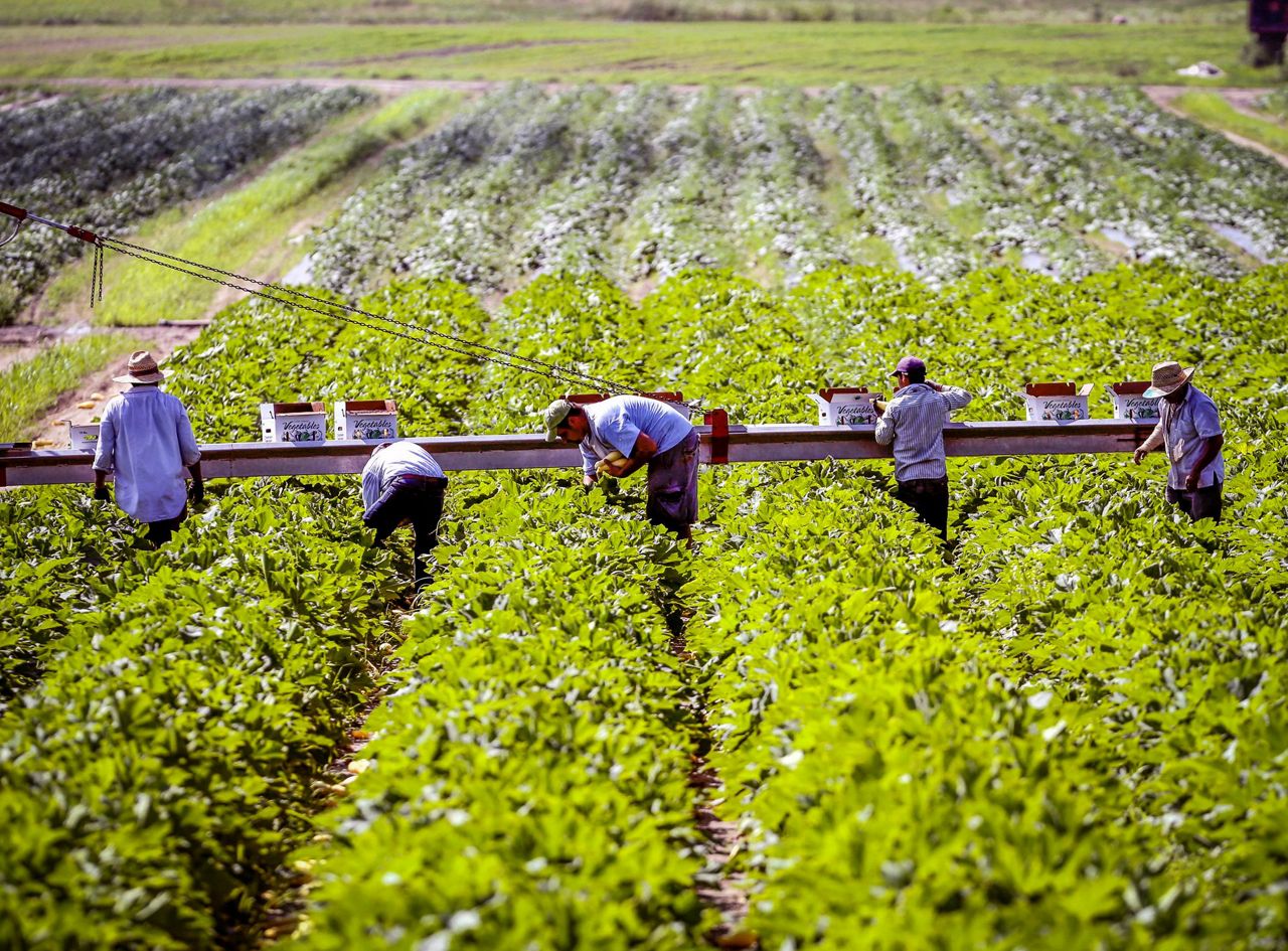 Farmers alarmed as NY looks at expanded OT for their workers