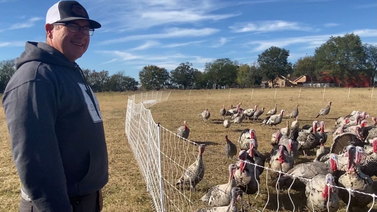 North Texas farmer raises heritage turkeys