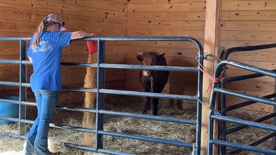 Long-time student farm program growing across New York