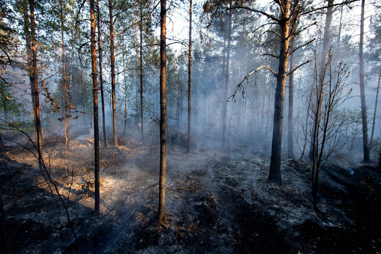 EU nations help Sweden as wildfires rage above Arctic Circle