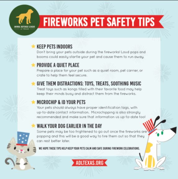 Fireworks safety tips for pet owners ringing in new year