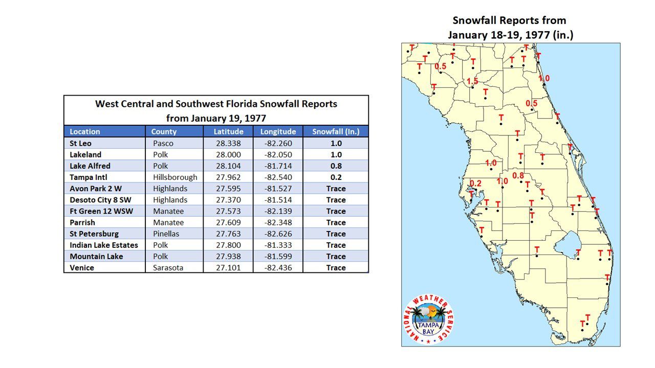 Snow kidding! Looking back at the day it snowed in Tampa Bay