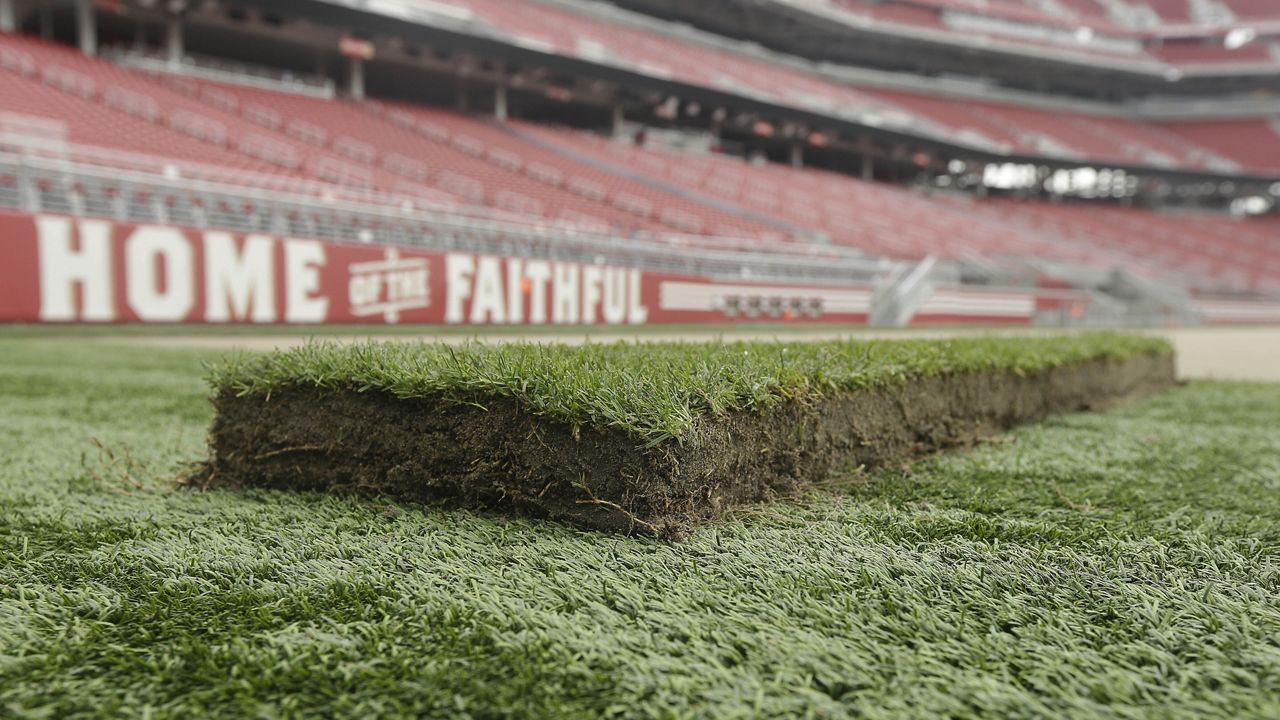 Turf vs. grass: Sports doctor weighs in on NFL debate