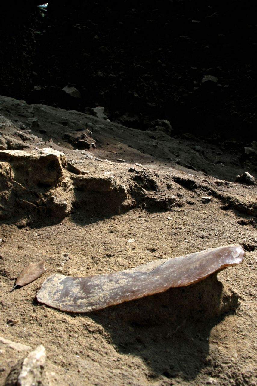 French cave tells new story about Neanderthals, early humans
