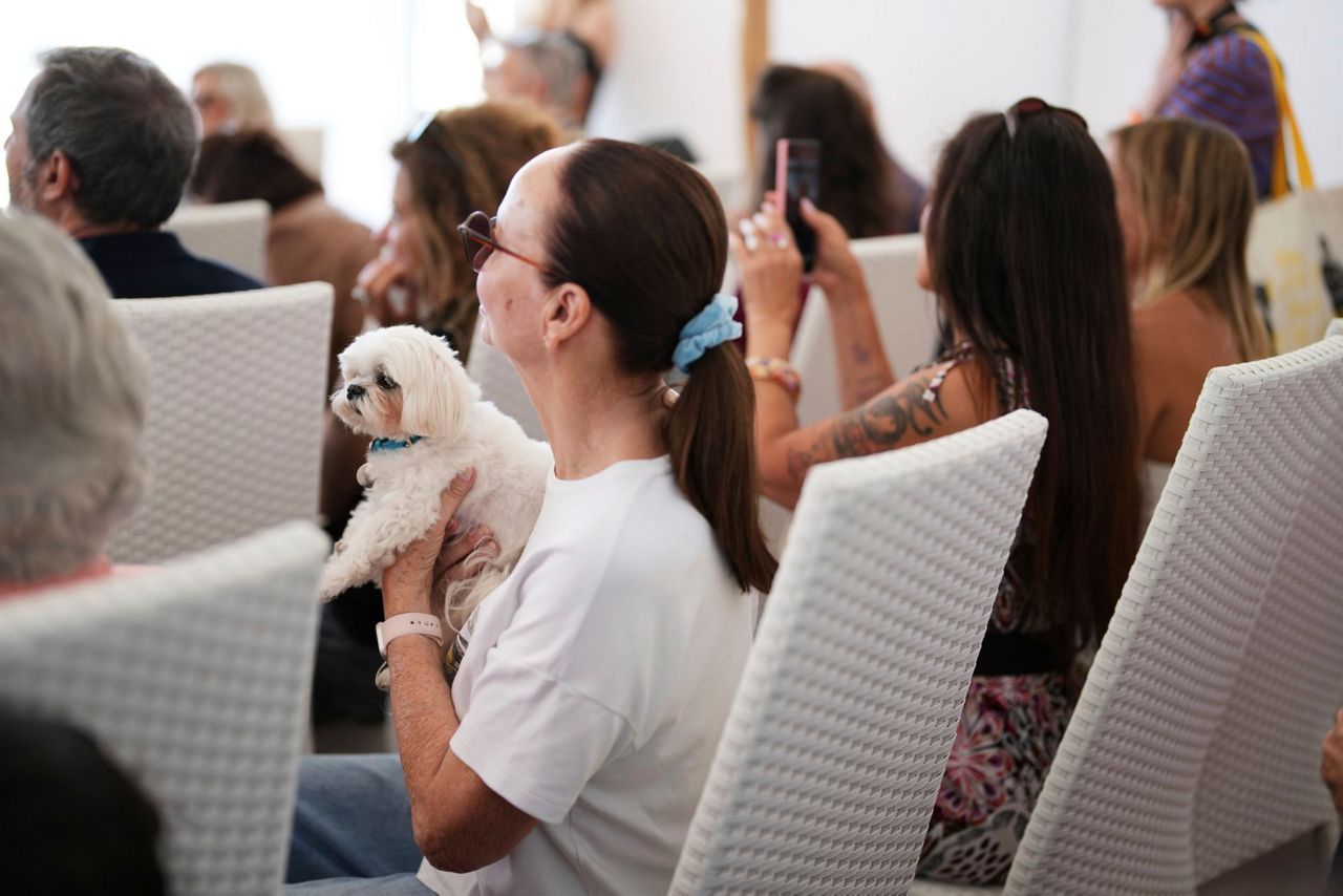 Panda wins the 2025 Palm Dog award at Cannes — and a look-alike accepts