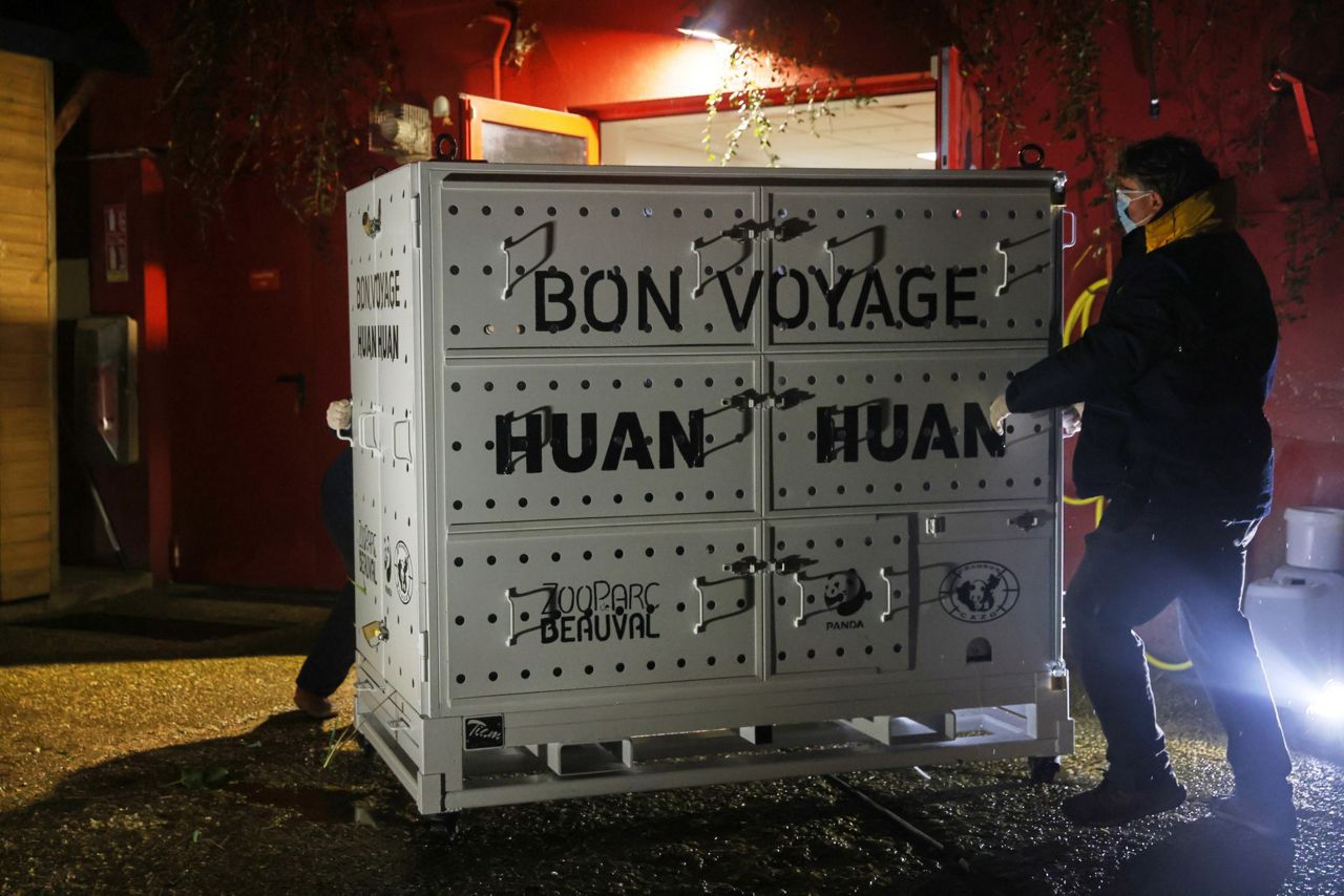 France says 'bon voyage' to 2 giant pandas as they head back to China