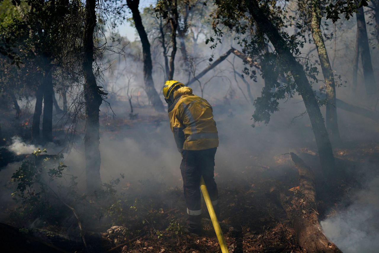 As winds calm, firefighters find hope battling French blaze