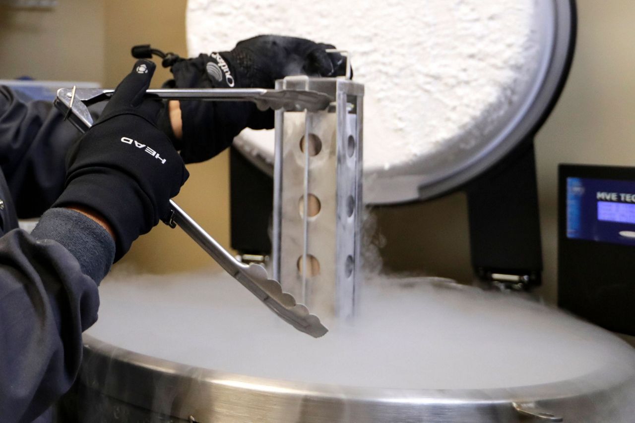 Alabama lawmakers advance legislation to protect IVF providers after ...