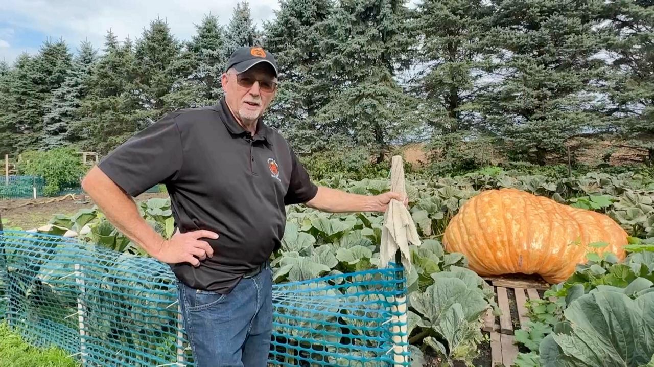 Wisconsin farmer hopes to beat state's giant pumpkin record