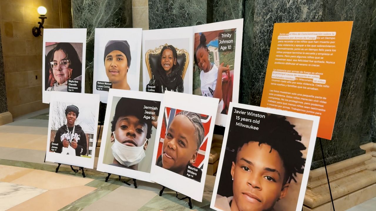 Calls for gun violence prevention renewed