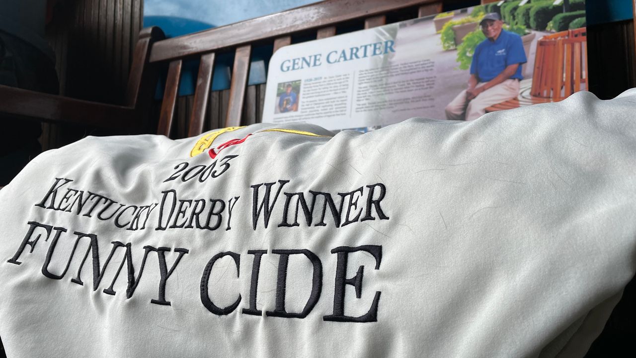 New York's great gelding enjoys life at Kentucky Horse park