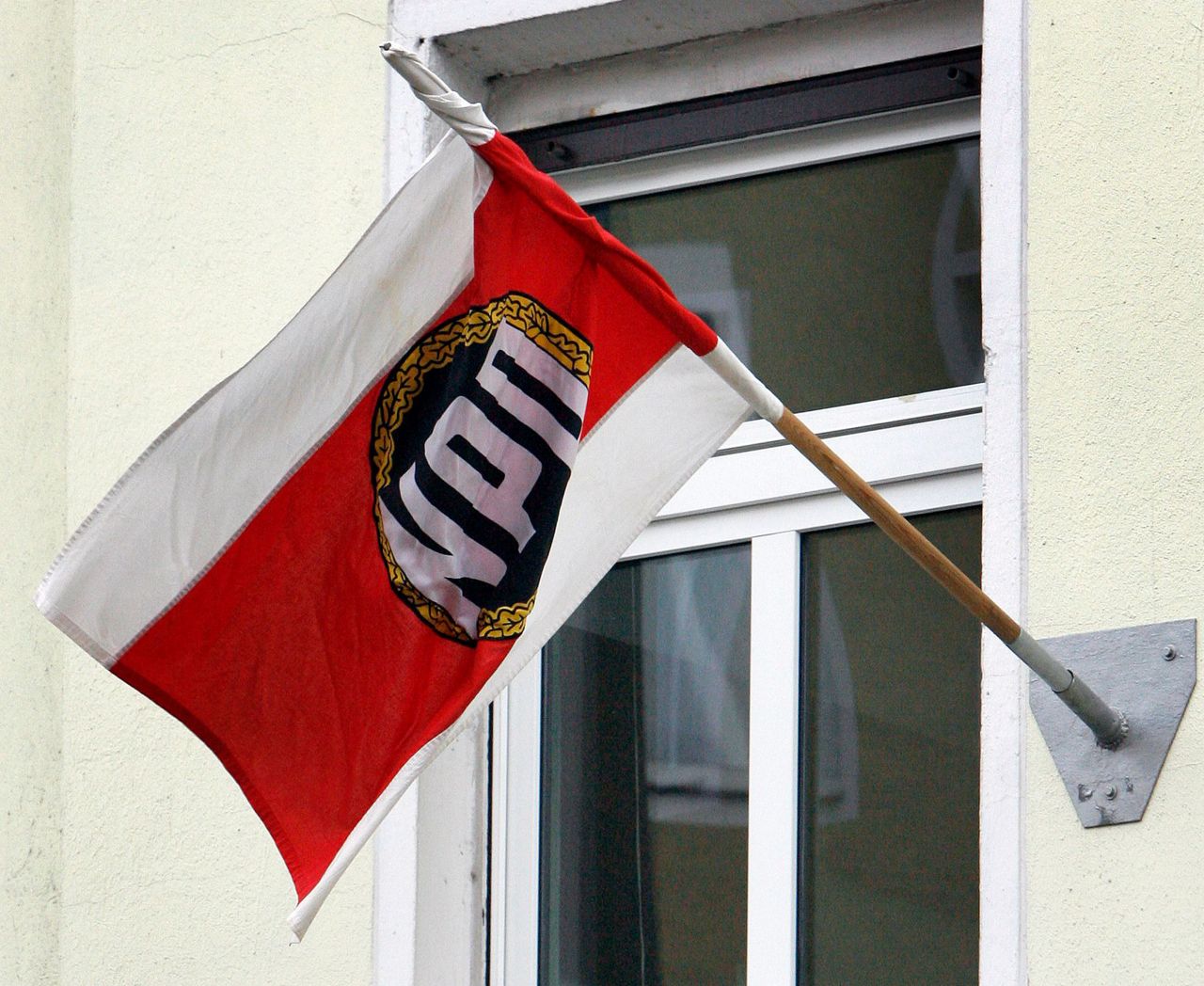 Germany's top court rules a far-right party is ineligible for funding ...