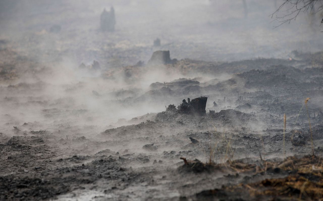 Huge wildfire spreads southwest of Berlin
