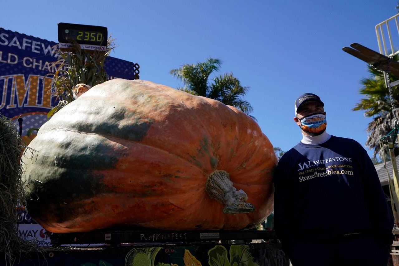 Pumpkin weighing 2,350 pounds wins California contest