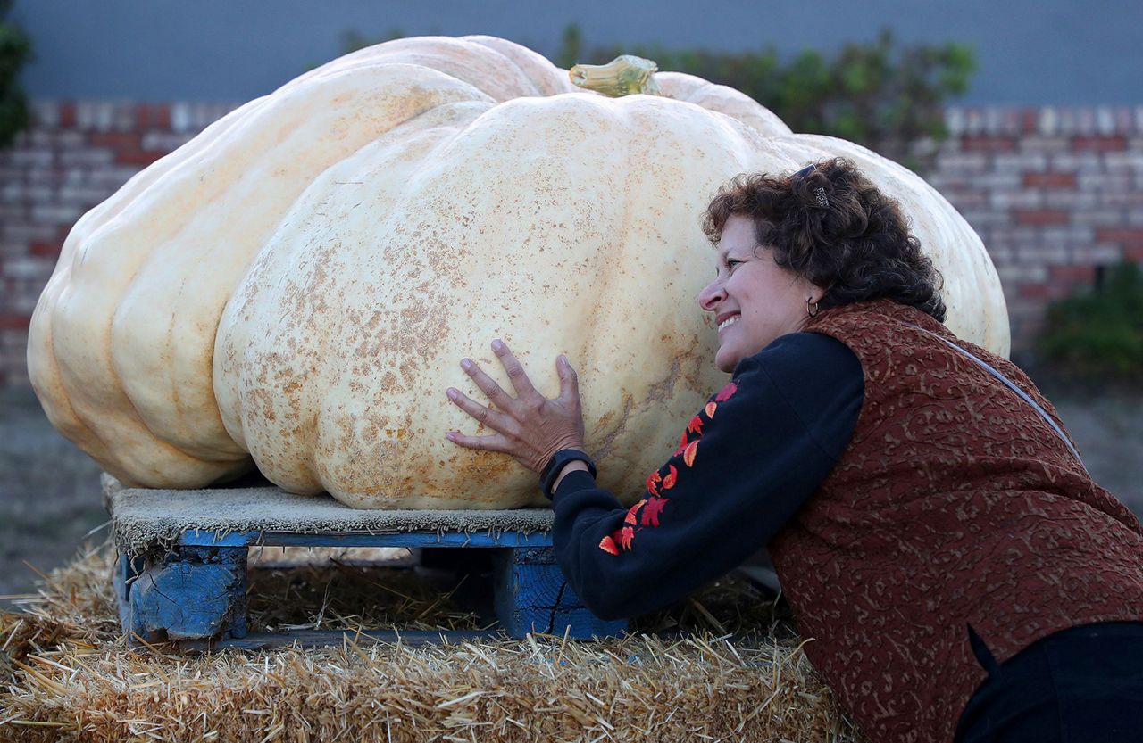 From 'special seed' to 2,170-pound winning pumpkin