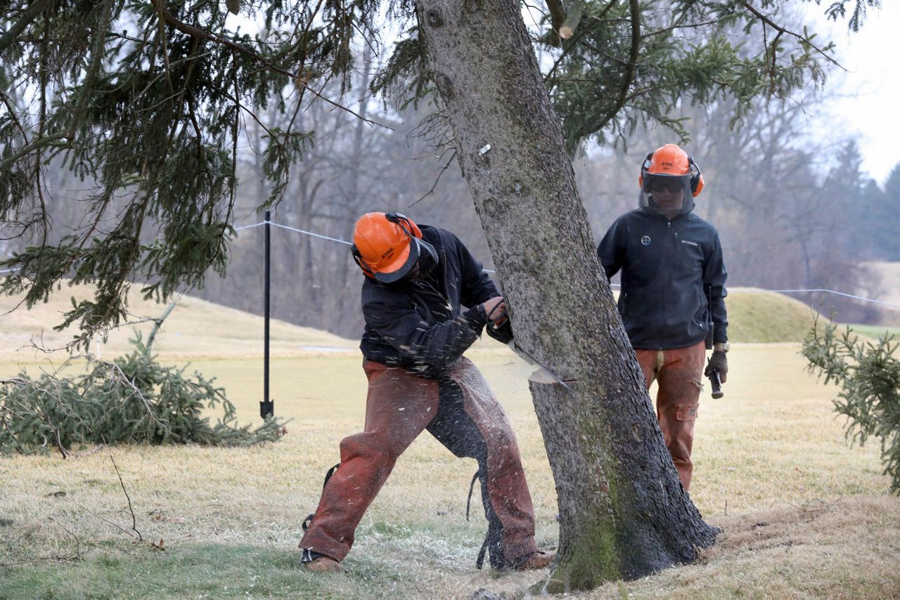 Golf's famous 'Hinkle Tree' from '79 Open uprooted by wind