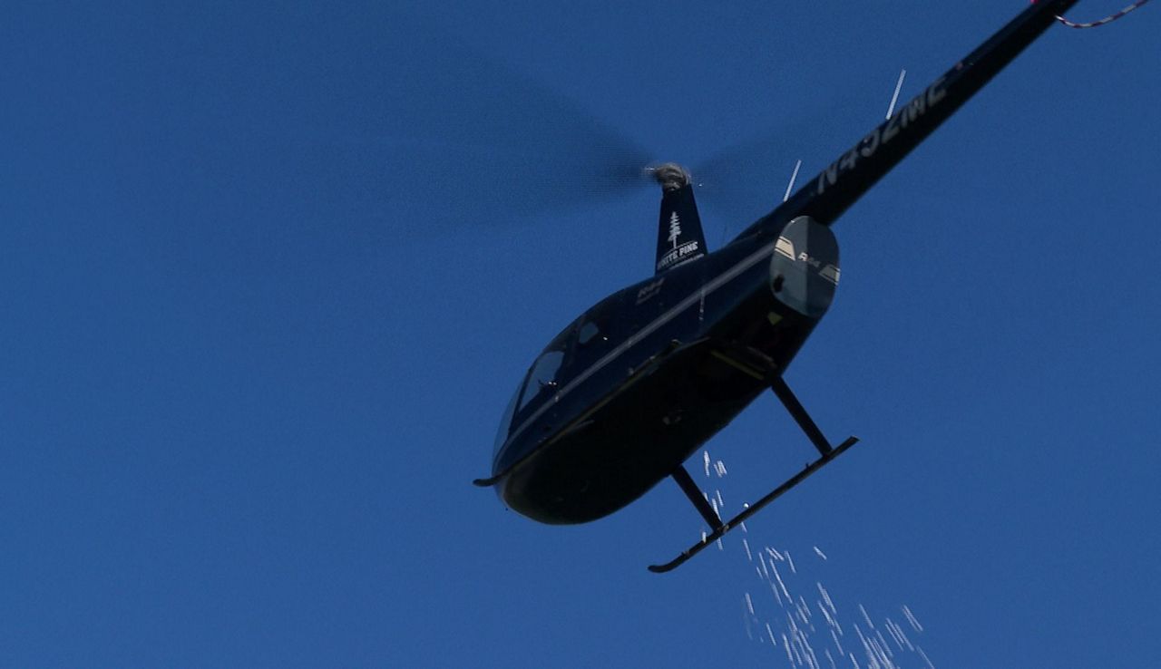 Children race to collect marshmallows dropped from a helicopter at a ...