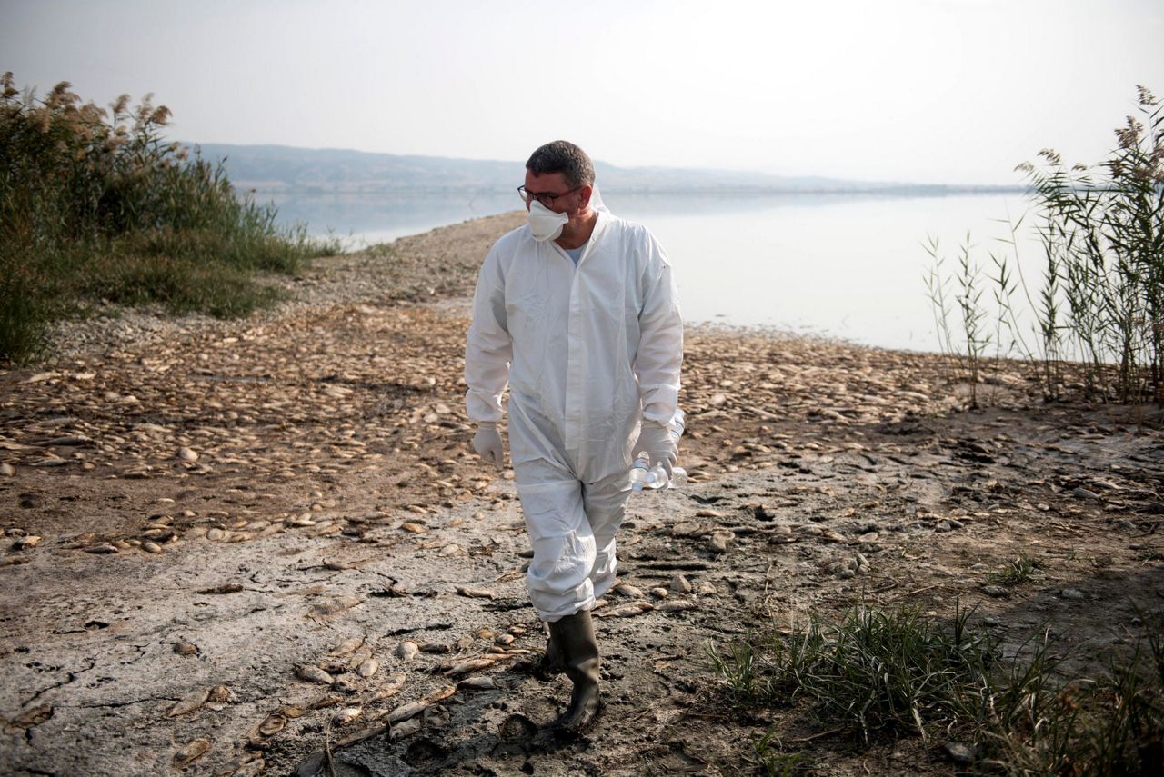 Greece: Oxygen-starved fish dying in drought-hit lake