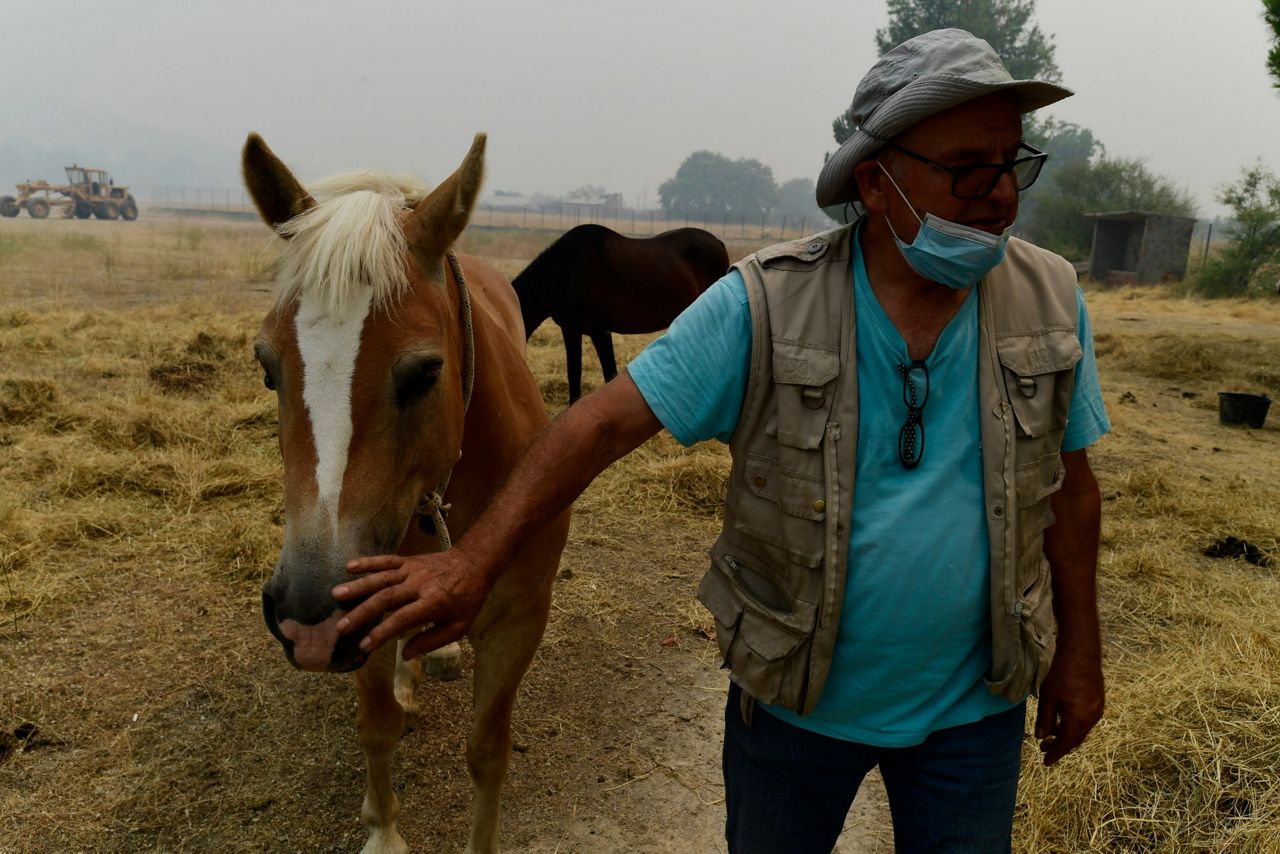 Massive forest fire in Greece still burning for 7th day