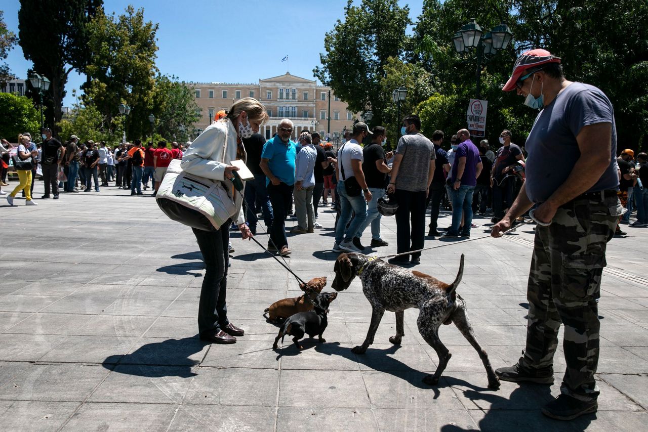 Greek dog owners protest mandatory sterilization of pets