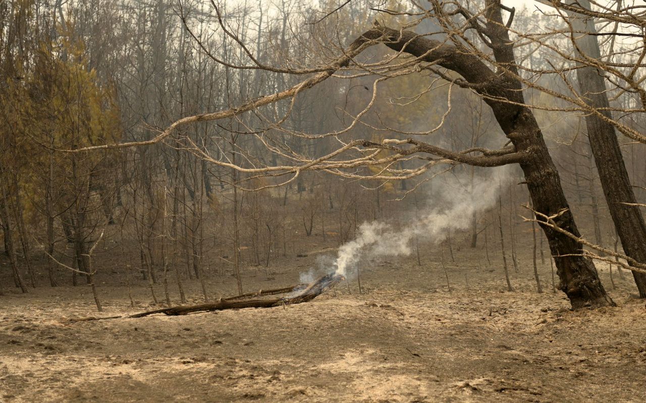 Greece further reinforces firefighting forces in massive wildfire in ...