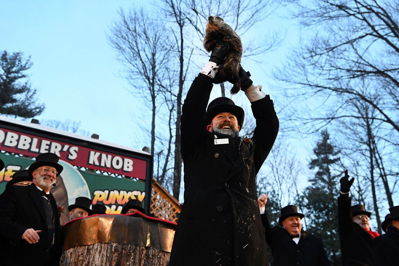 Punxsutawney Phil prepares to make Groundhog Day prediction