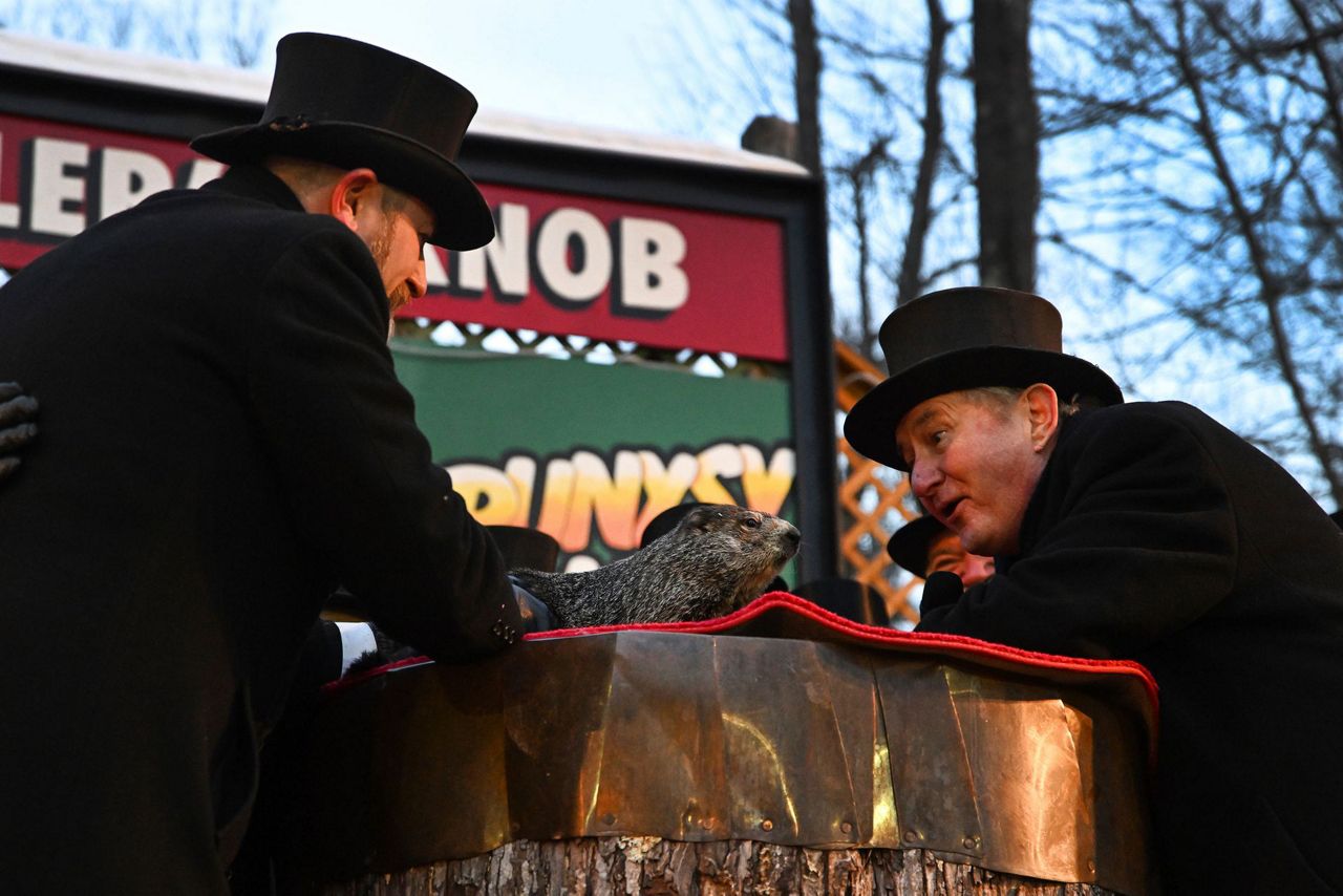 Punxsutawney Phil prepares to make Groundhog Day prediction
