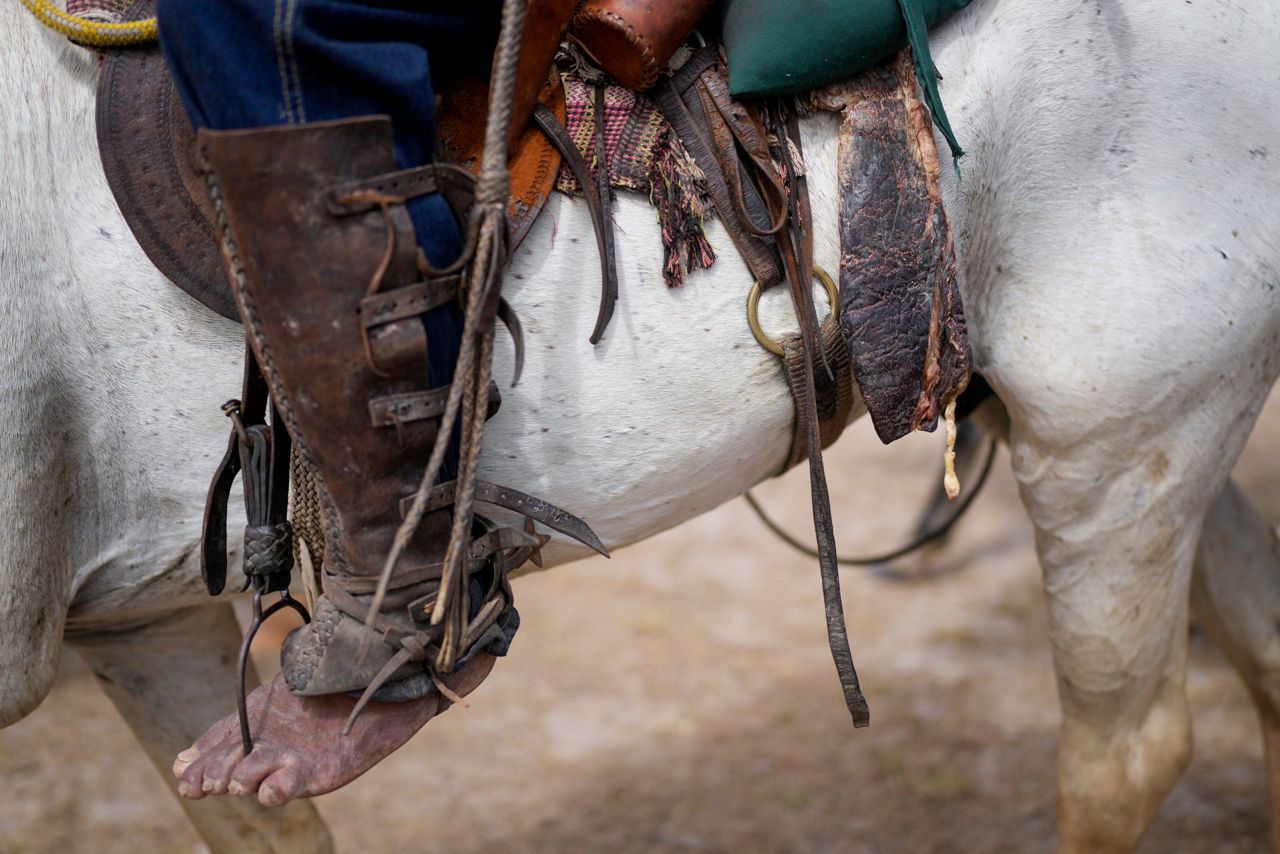 Guyana's Rupununi Rodeo celebrates local cowboy culture