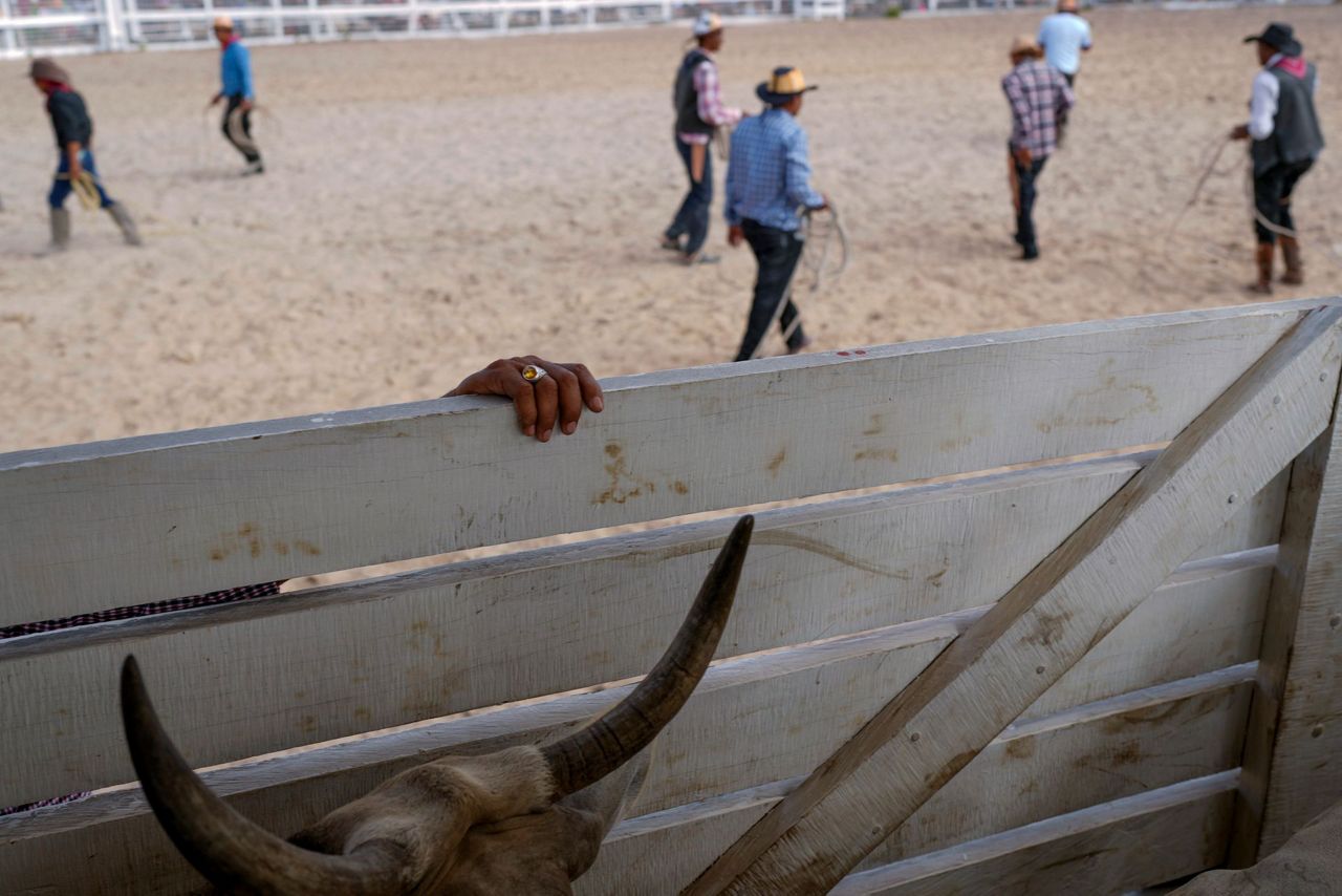 Guyana's Rupununi Rodeo celebrates local cowboy culture
