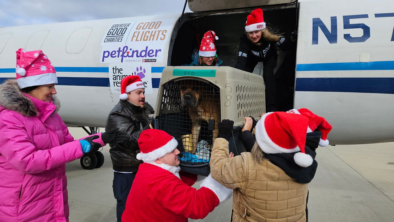 More than 60 at-risk pets transported to Wisconsin
