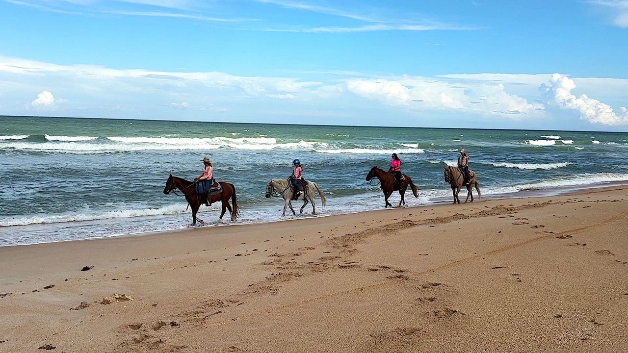 Ride horses on Flagler beaches with Equestrian Adventures