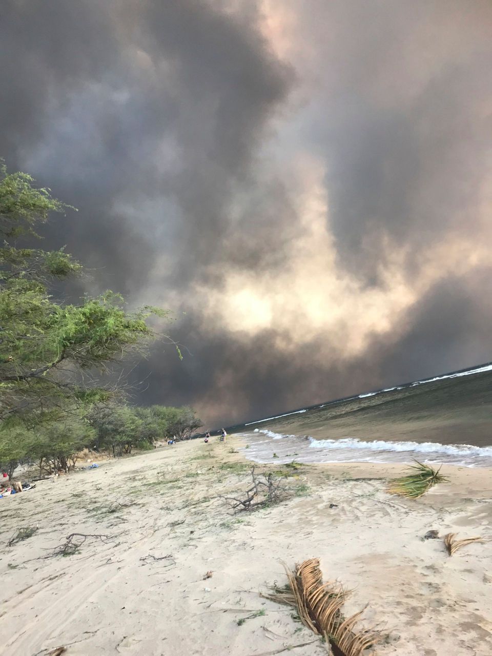 Maui fire survivors are confronting huge mental health hurdles, many ...