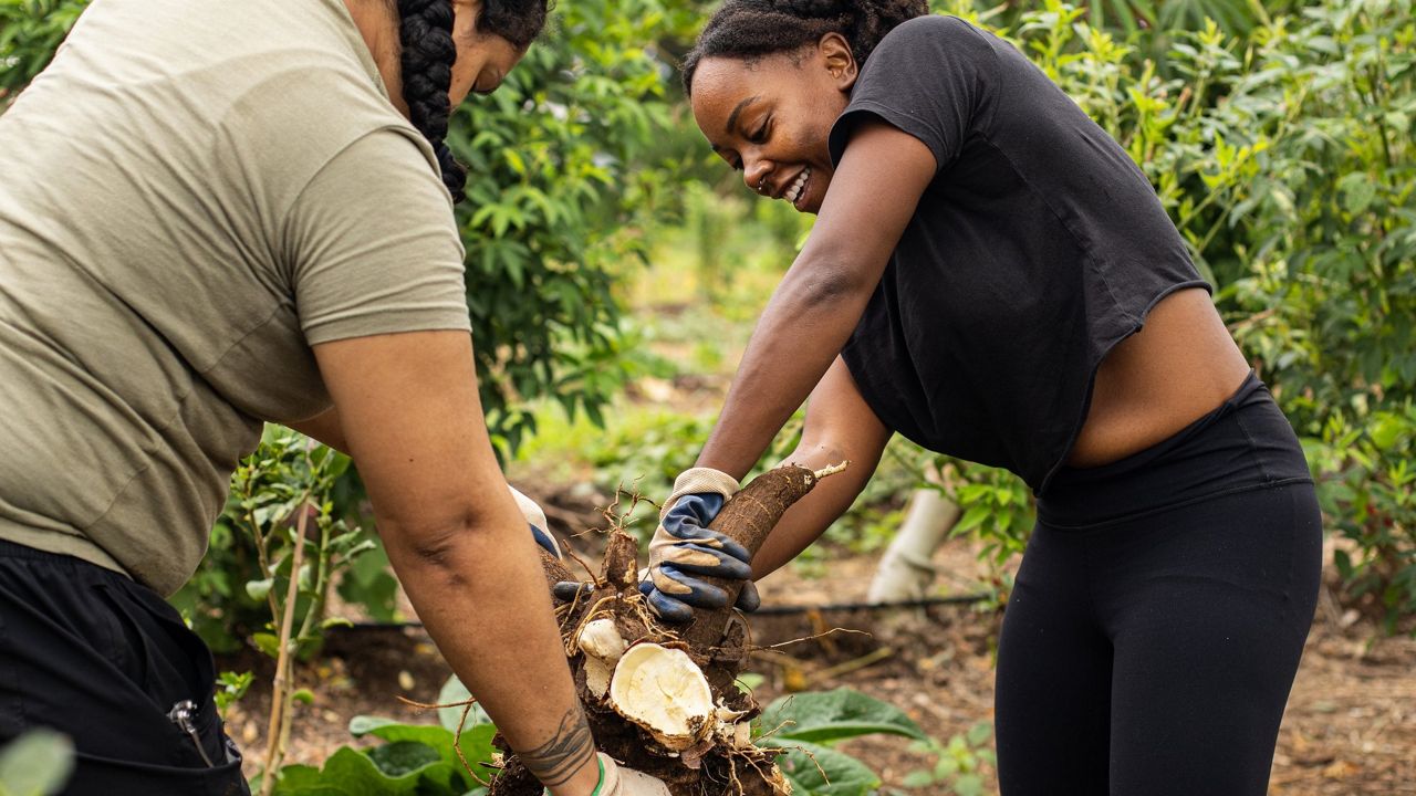 The Pōpolo Project brings Hawaii’s Black community together