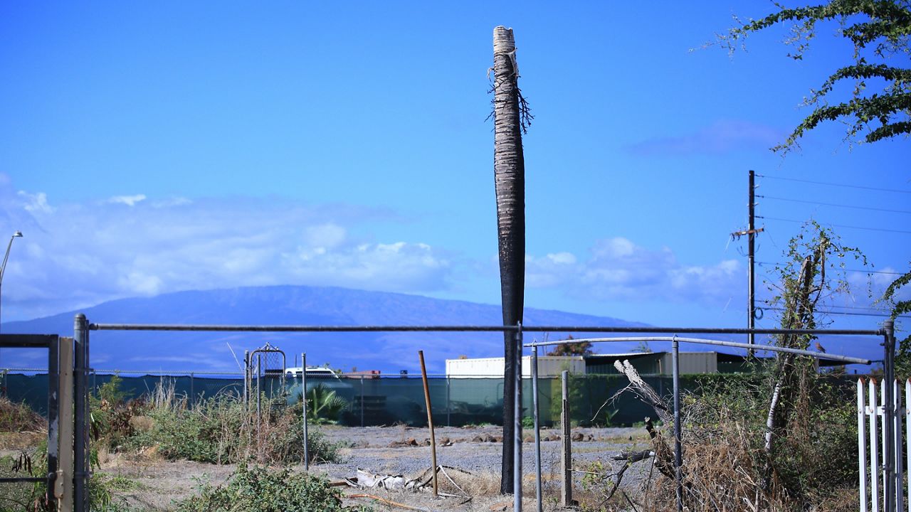 Lahaina rebuild a work in progress 2-plus years after fires