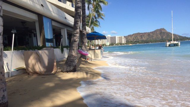 Hula Grill Waikiki focuses on sea-level rise in Waikiki