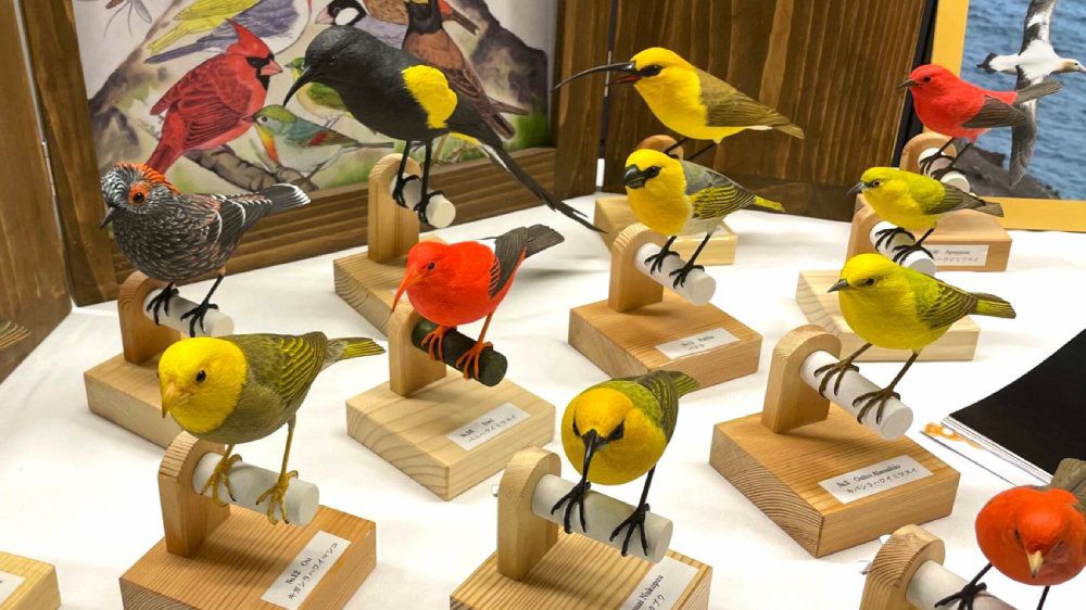 Exhibit of Hawaii's native birds premieres at Bishop Museum