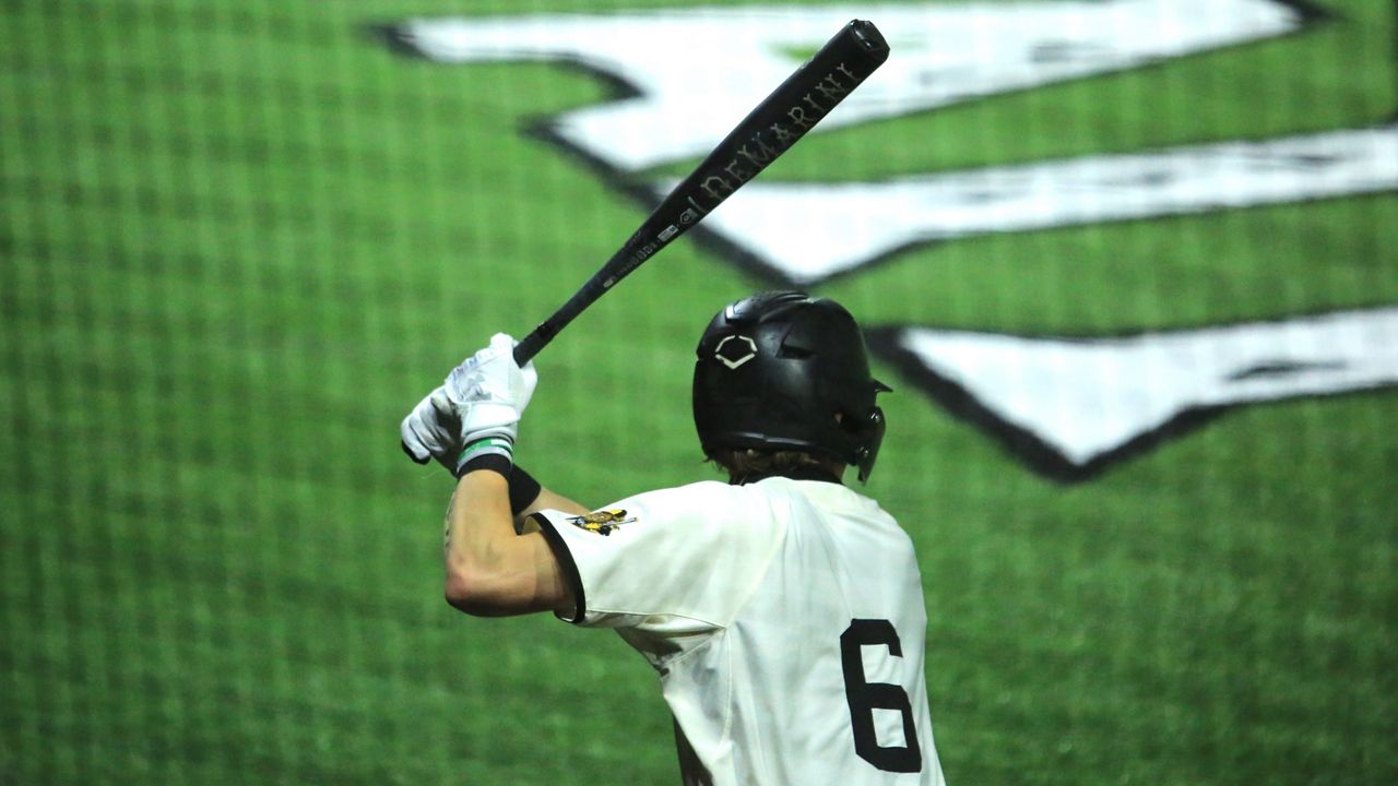Hawaii baseball shares equipment, not win with Wichita State
