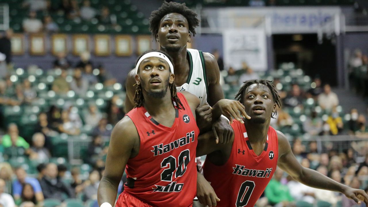 Hawaii men's basketball opens season with win over Hilo