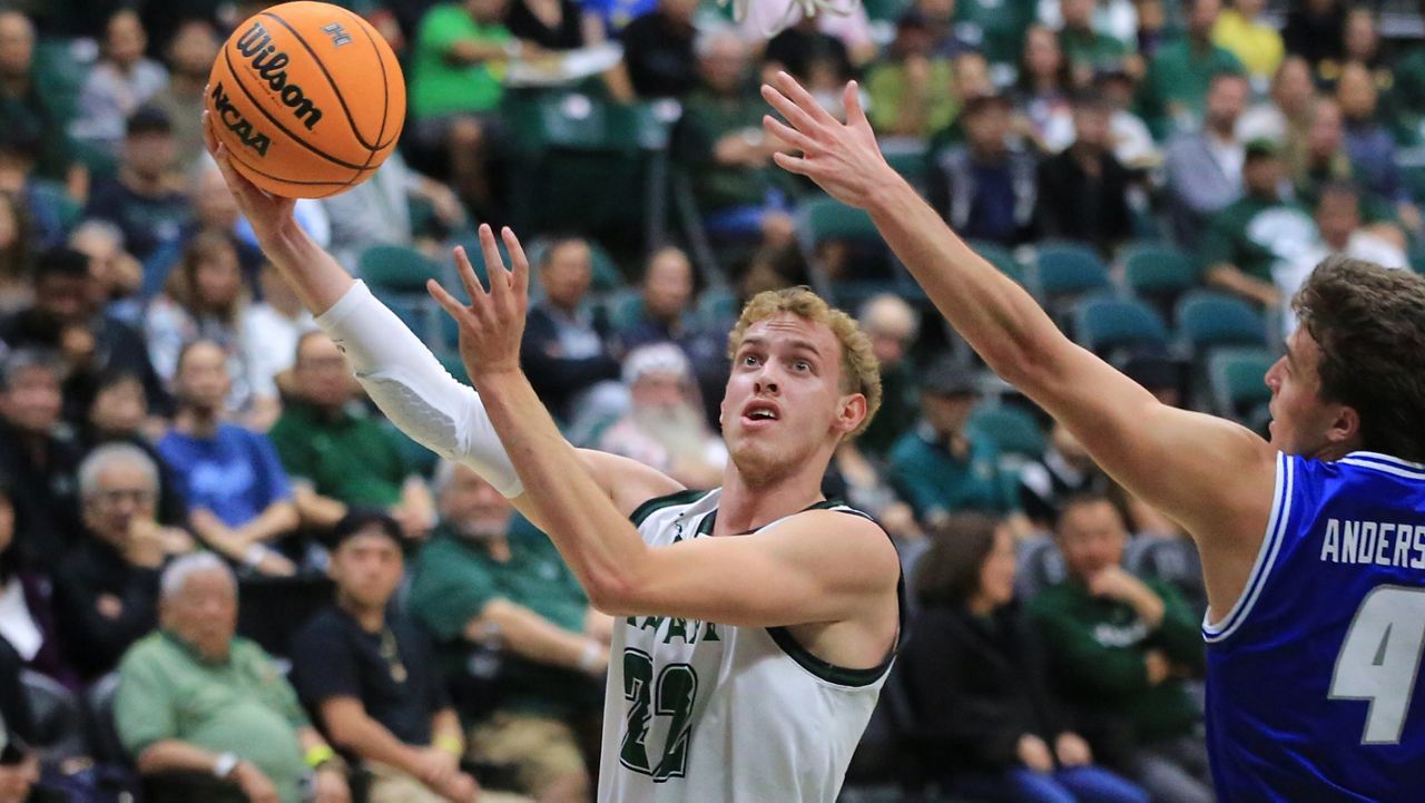 Hawaii basketball store