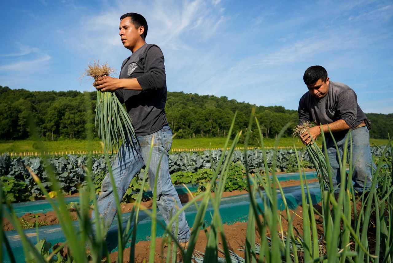 Climate change ratchets up the stress on farmworkers on the front lines ...