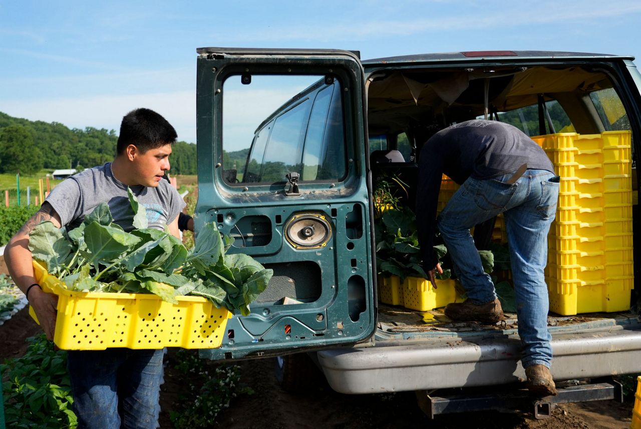 Climate change ratchets up the stress on farmworkers on the front lines ...