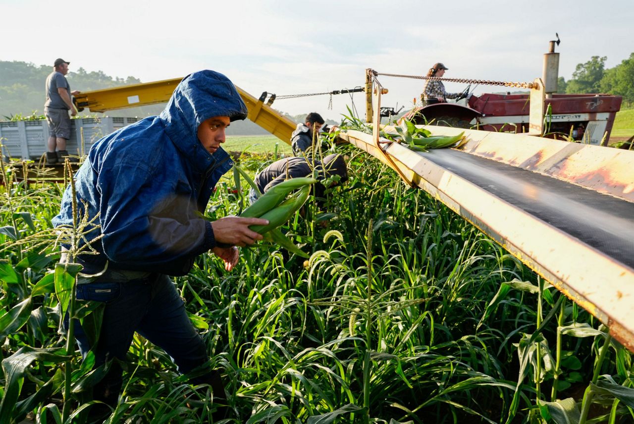 Climate change ratchets up the stress on farmworkers on the front lines ...