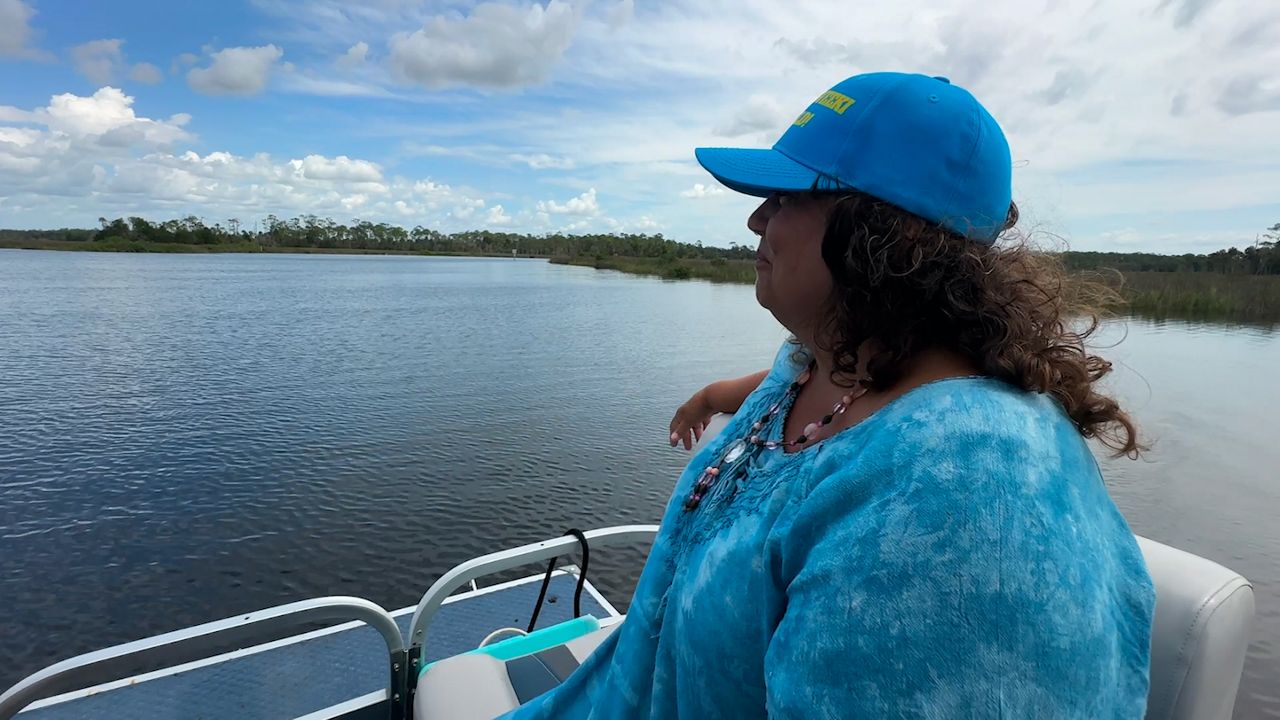 Residents fighting to protect manatees on Mud River