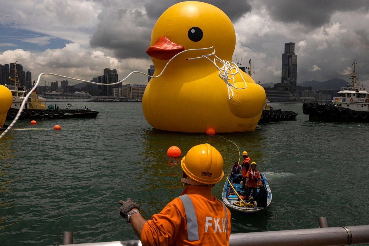 Giant inflatable ducks make a splash in Hong Kong as pop-art project ...