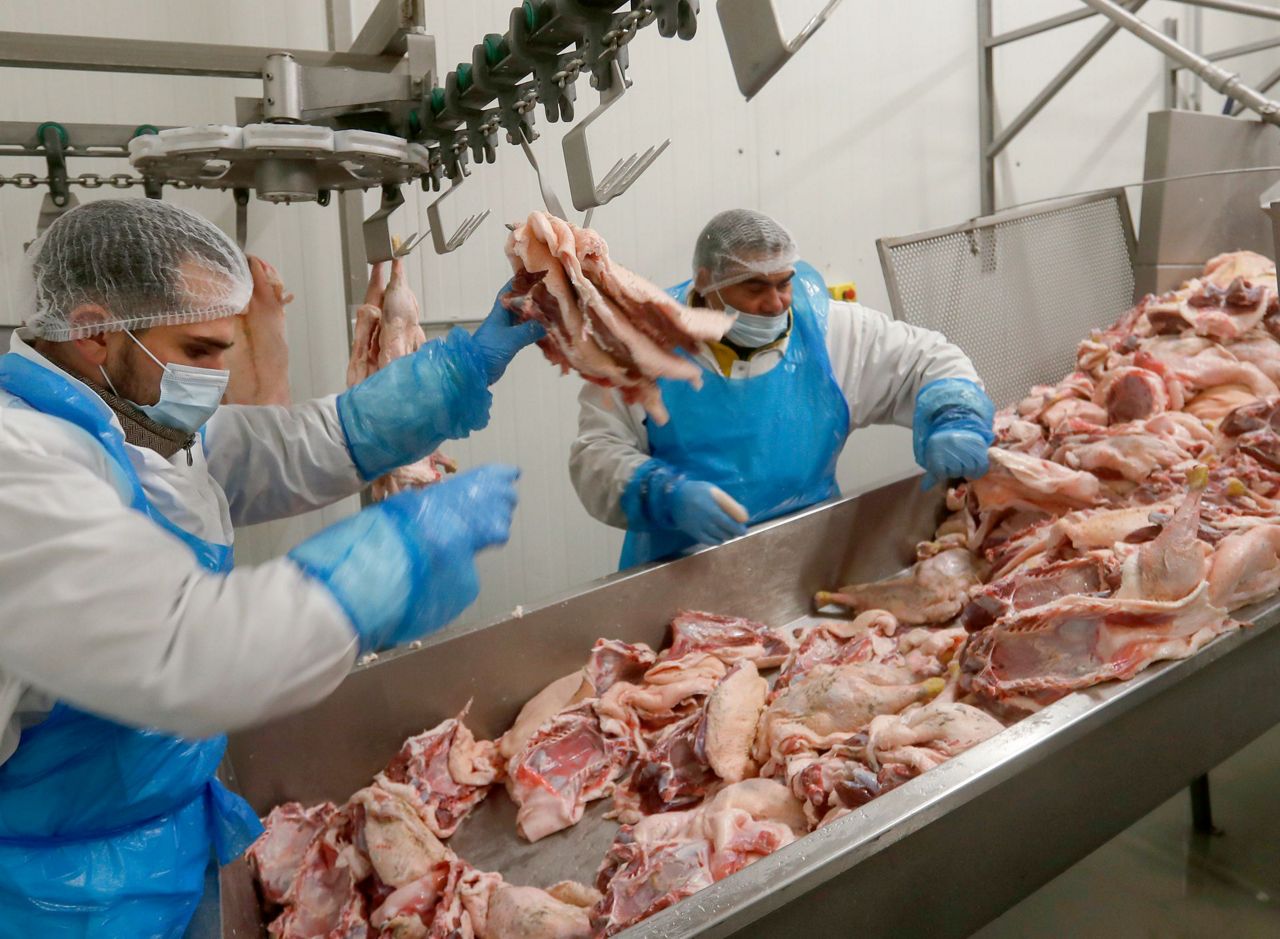 Ruling brings kosher slaughterhouse new business, old fears